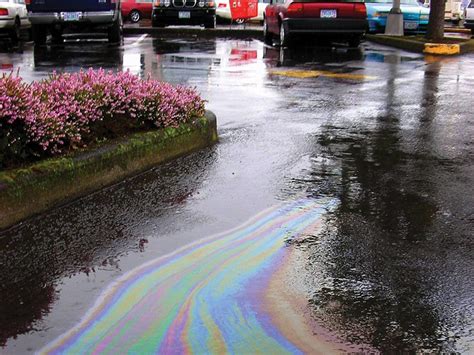 Effective Stormwater Management Importance Of Stormwater Management