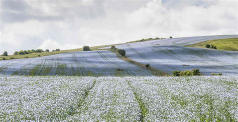 Agrifac Crop Sprayers Agrifac United Kingdom