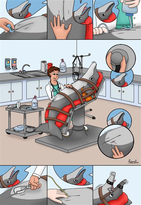 Rule 34 Anal Anal Sex Anatomically Correct Animal Genitalia Animal