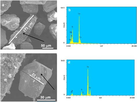 Scanning Electron Microscope Sem Micrographs And Energy Dispersive