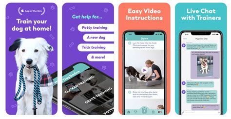 5 Pet Care Apps Every Pet Owner In Thailand Should Download