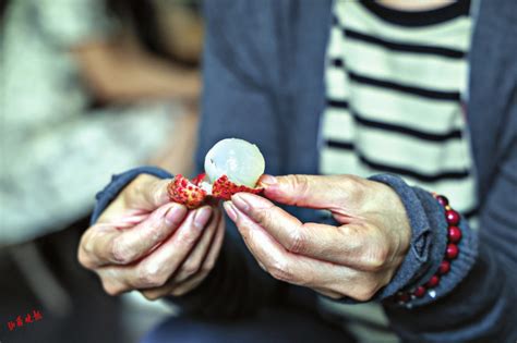 荔枝壳煮水能下火？医生：业界未形成共识，临床也未有应用 山西新闻网