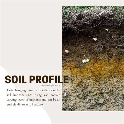 Soil Colour Testing For Garden Soil Gardening In Canada
