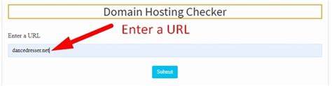 Check Website S Hosting Information SEOToolsCentre