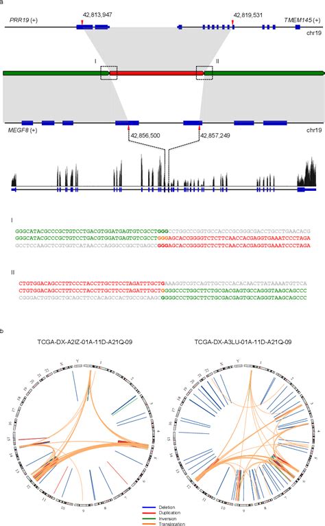 Figure 1 1 From Structural Variation Discovery And Genotyping From Whole Genome Sequencing