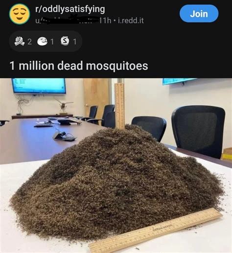 Request Are There Actually A Million Mosquitos Is There A Way To