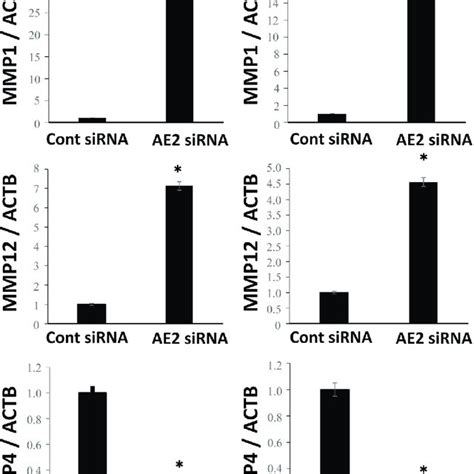 Verification Of Gene Expression By Real Time Quantitative Rt Pcr The