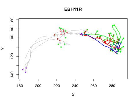 working with individual neurons as graph structures nat