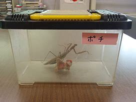 岐阜県水産研究所