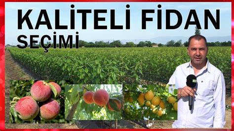 Kalİtelİ Fİdan SeÇİmİ Demİrel KardeŞler Fİdancilik ÖdemİŞ KÖy Tv