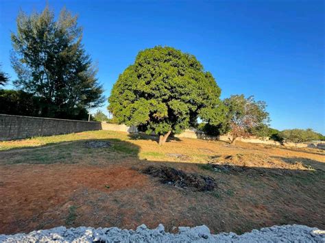 Property for Lease in Mahotas Mangolê Stop Maputo