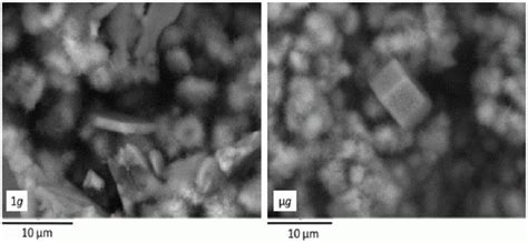 Microgravity Investigation Of Cement Solidification Mics