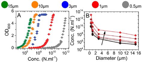 微生物生长曲线分析仪菌密度的小知识：大小和形状的影响 新芝生物