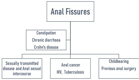 Piles Vs Fissures Understanding The Key Differences