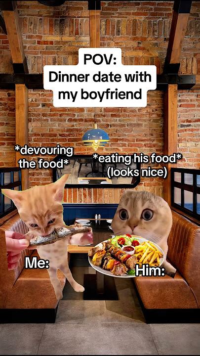 Cat Dinner Memes