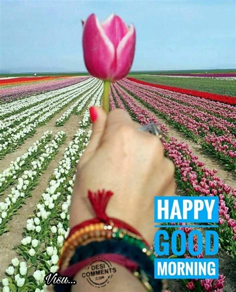 Happy Good Morning Desi Comments