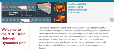 Anne Skeldon Gives A Seminar At The Mrc Brain Network Dynamics Unit At Oxford University