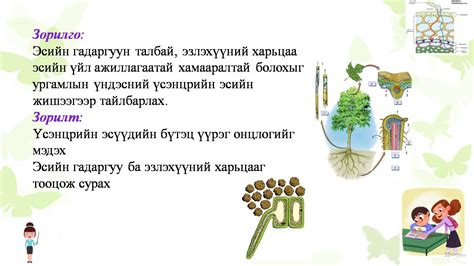 Мэдлээ Цахим контент