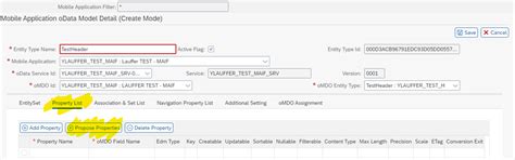 How To Create Odata Services With Mobile Applicati Sap Community