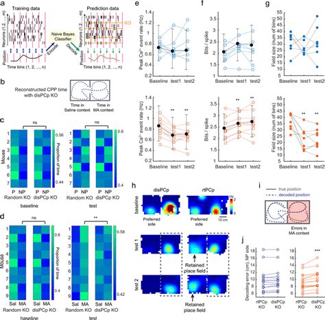 Dispcp Contribute To The Encoding Of Ma Paired Context After Download Scientific Diagram