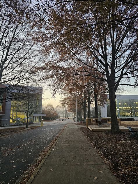 Novemcember Junipher Woodbridge Flickr