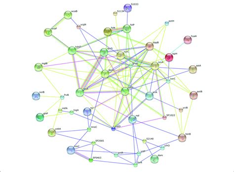 Interactome Analysis Of The Final Metabolic Proteins Download