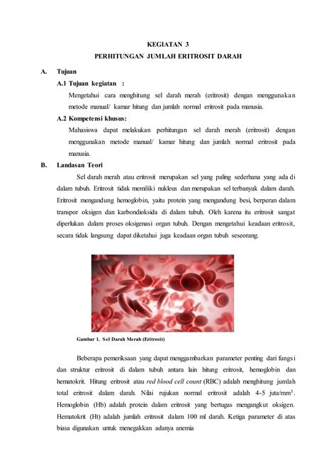 3 Laporan Praktikum Biologi Perhitungan Jumlah Eritrosit Darah Docx
