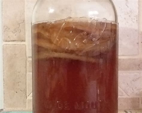 Live Organic Kombucha Scoby Mushroom Starter Culture Makes 1 2 Gal