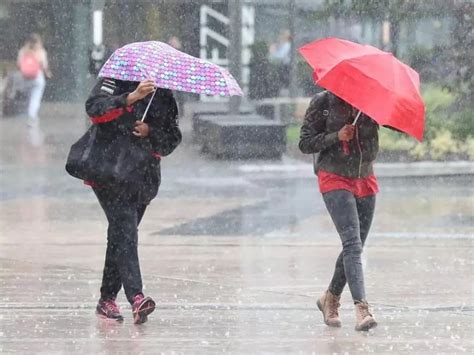 Pluies cette semaine sur plusieurs wilayas Le Matin d Algérie