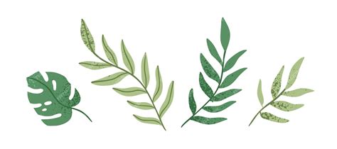 Premium Vector Green Leaf Decorations Set Natural Leaves Of Foliage
