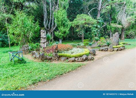 Plants In National Kandawgyi Botanical Gardens In Pyin Oo Lwin Myanm