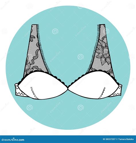 Lacy Vector Bra Stock Vector Illustration Of Fashion 38337207