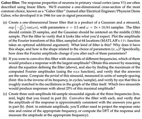 Gabor Filter The Response Properties Of Neurons In