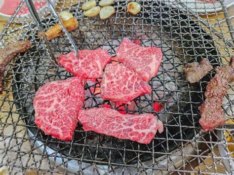경상북도경주 맛집 한우 소고기집 장군 암소 숯불 정육점 가격에 숯불과 한우 암소고기 등심 갈비살 살치살