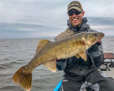 Trolling For Walleye Joe Okadas Best Tips And Tactics Virtual Angling