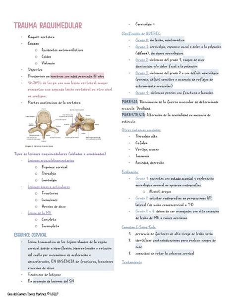Trauma Raquimedular Mednotes Ana Udocz
