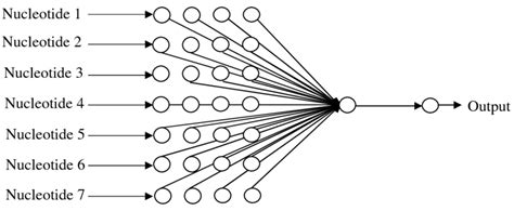 The Tata Box Neural Network Download Scientific Diagram