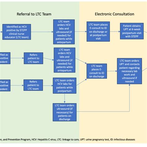 Process Map For Linkage To Care Model Download Scientific Diagram