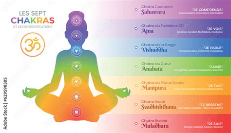 Les Sept Chakras Et Leurs Significations Stock Vector Adobe Stock