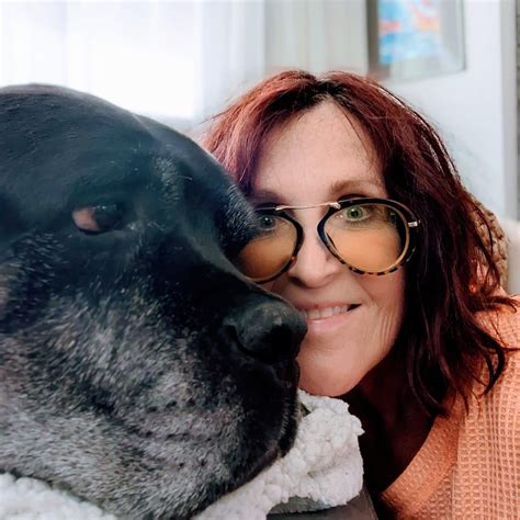 Wiggle Waggle Walk Plus Hello Everyone This Red Beautiful Cat His