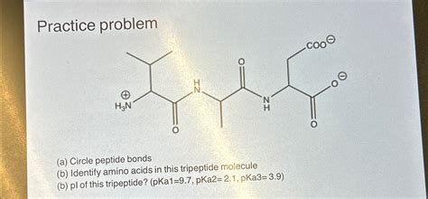 Solved Practice Problema ﻿circle Peptide Bondsb