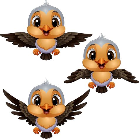 Premium Vector Set Of Cartoon Robin Bird On White Background