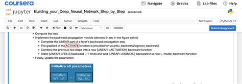 w4 a1 typo activate neural networks and deep learning deeplearning ai