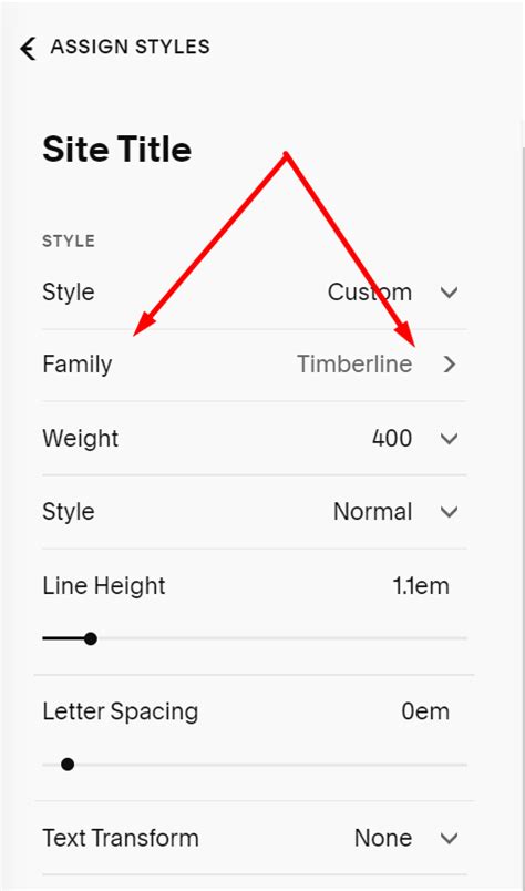 Change Site Title Font On Squarespace Other Tips Elfsight Community