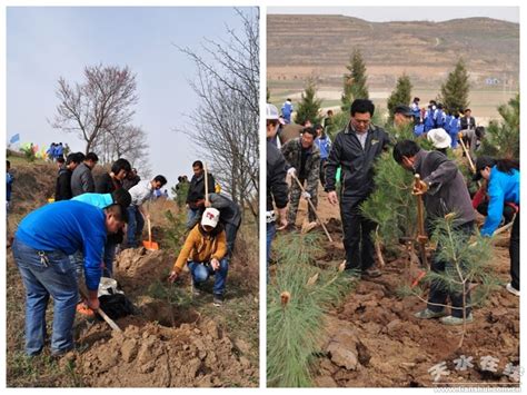 秦州区平南镇开展植树造林美化家园活动组图 天水在线
