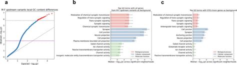 Identifying Associations Of De Novo Noncoding Variants With Autism Through Integration Of Gene