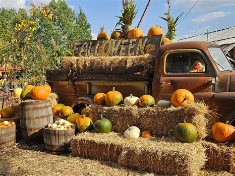 Prairie Gardens And Adventure Farm Bon Accord Ab