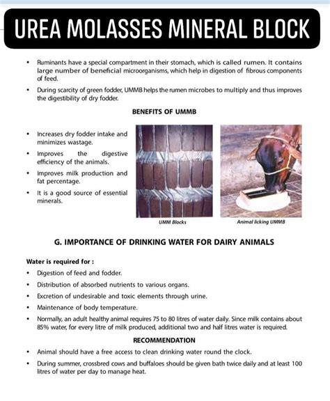 Veterinary Urea Molasses Mineral Block Ummb Urea Molasses Mineral