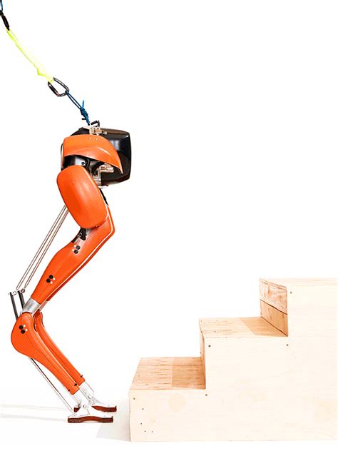 Building Robots That Can Go Where We Go Ieee Spectrum