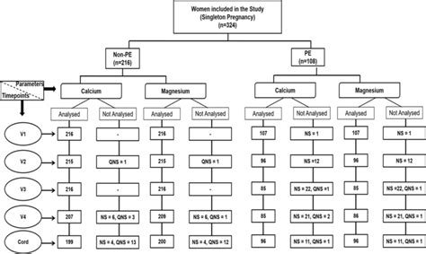 Flowchart For Number Of Samples Analyzed At Various Time Points Download Scientific Diagram